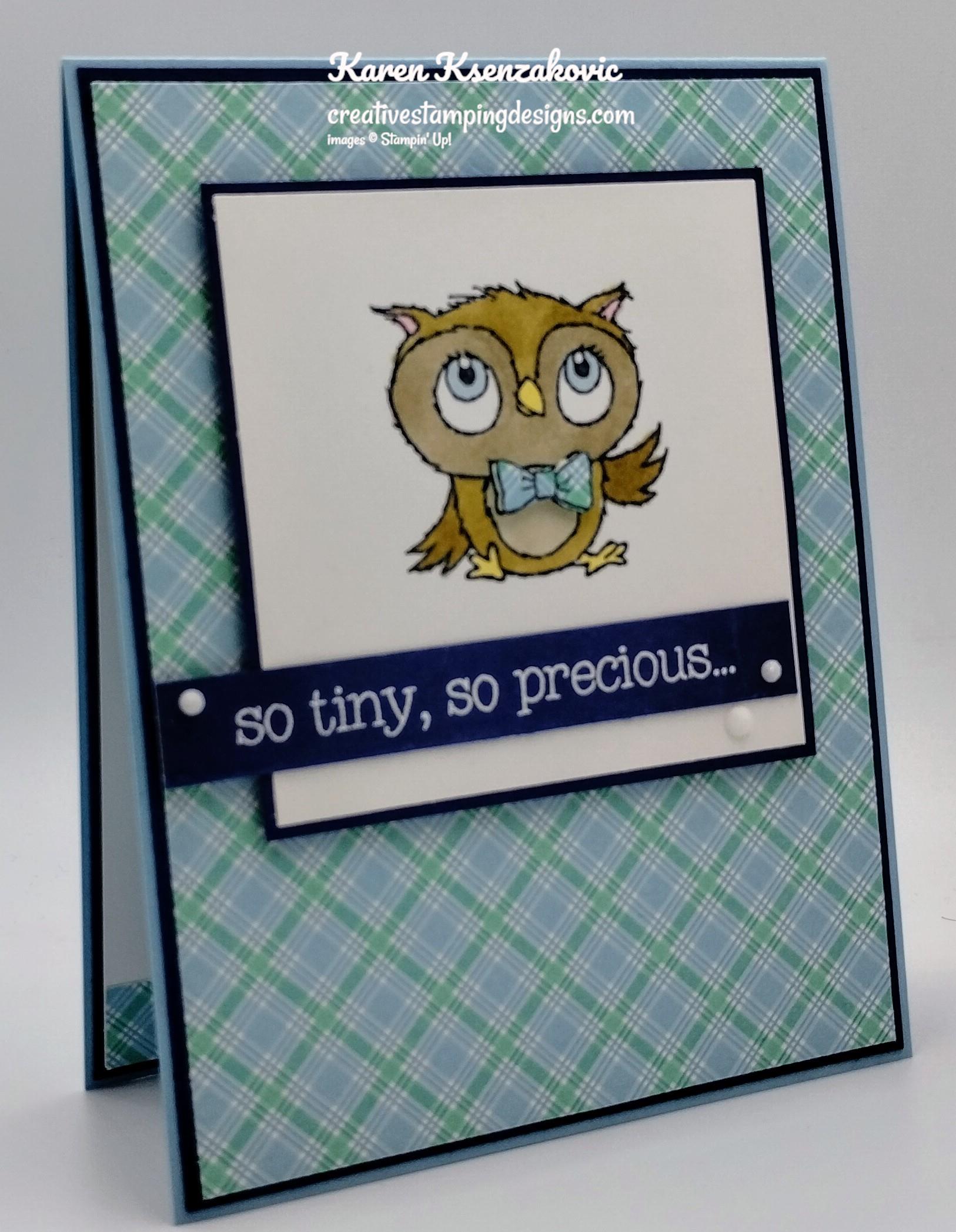 Stampin’ Up! Adorable Owls Baby Card | Creative Stamping Designs