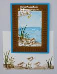Stampin’ Up! Ocean Front for The Card Concepts | Creative Stamping Designs