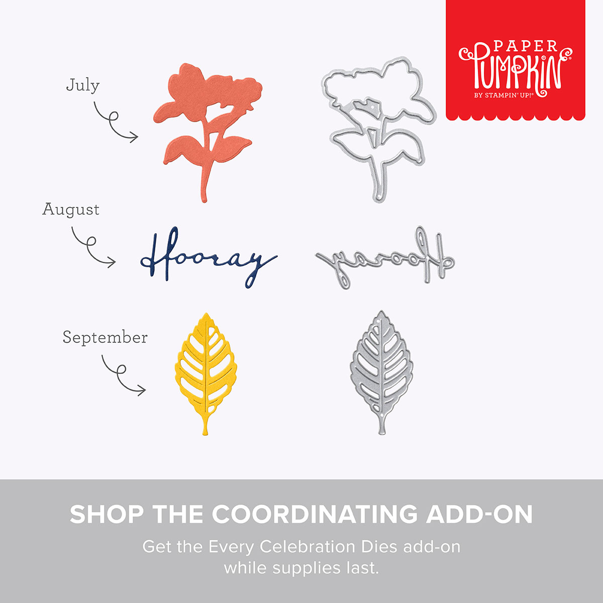 Stampin’ Up! July Paper Pumpkin Painted Petals – Stampin with Shirley G