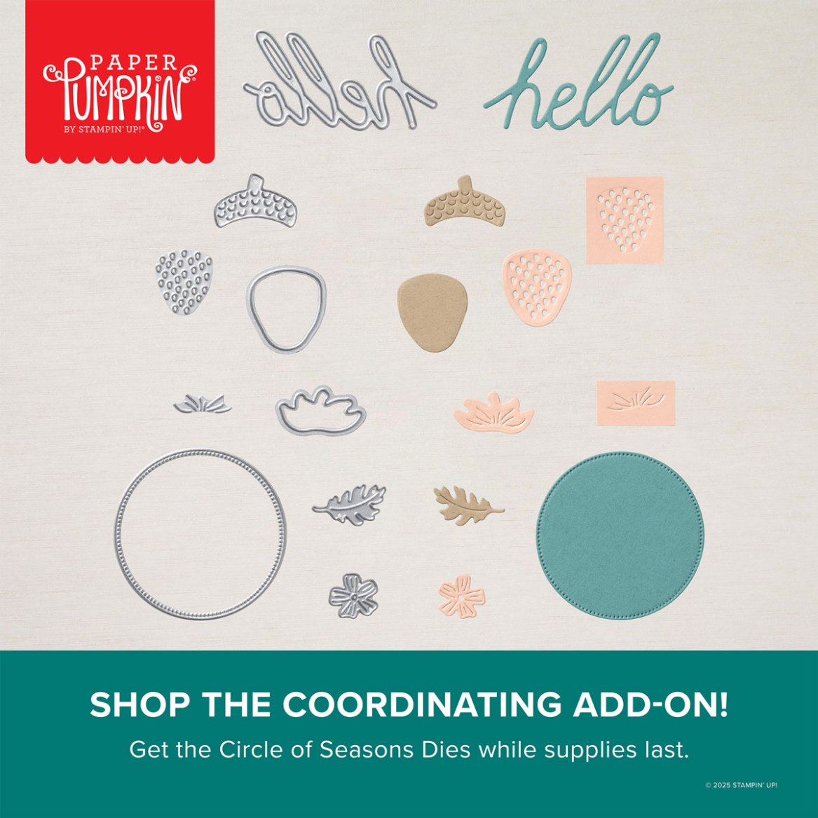 Stampin’ Up! Impressions Abloom | Creative Stamping Designs