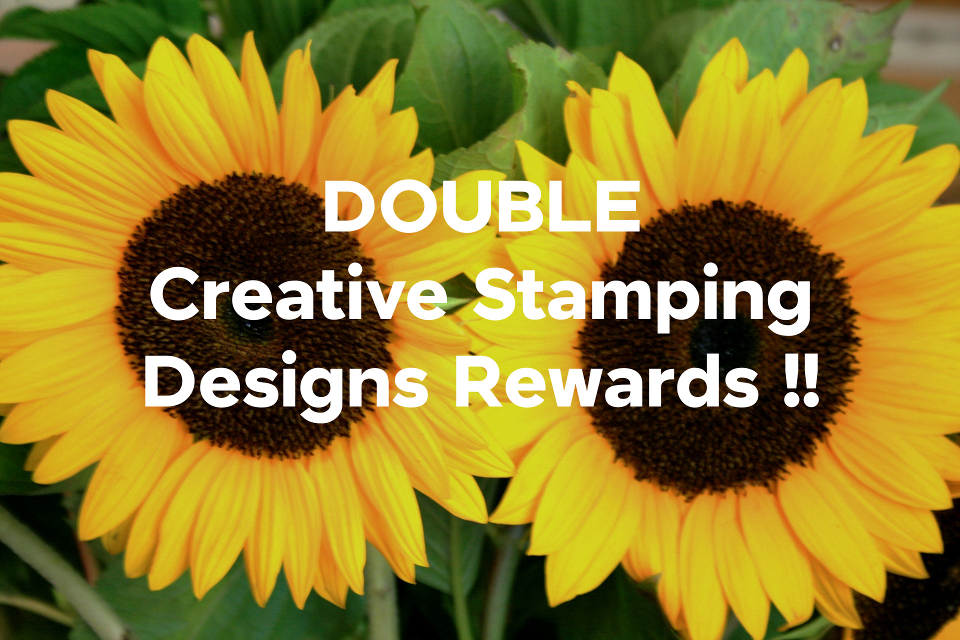 Stampin’ Up! Free Shipping, Double Creative Stamping Designs Rewards ...