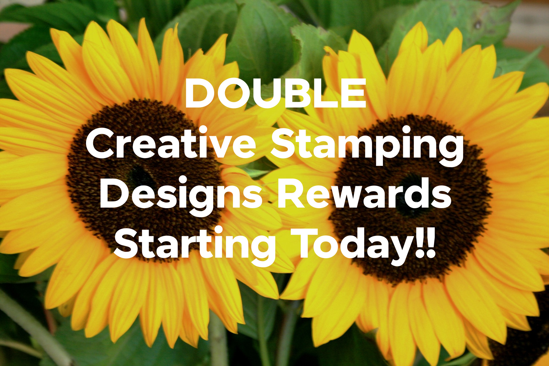Double Creative Stamping Designs Reward | Creative Stamping Designs